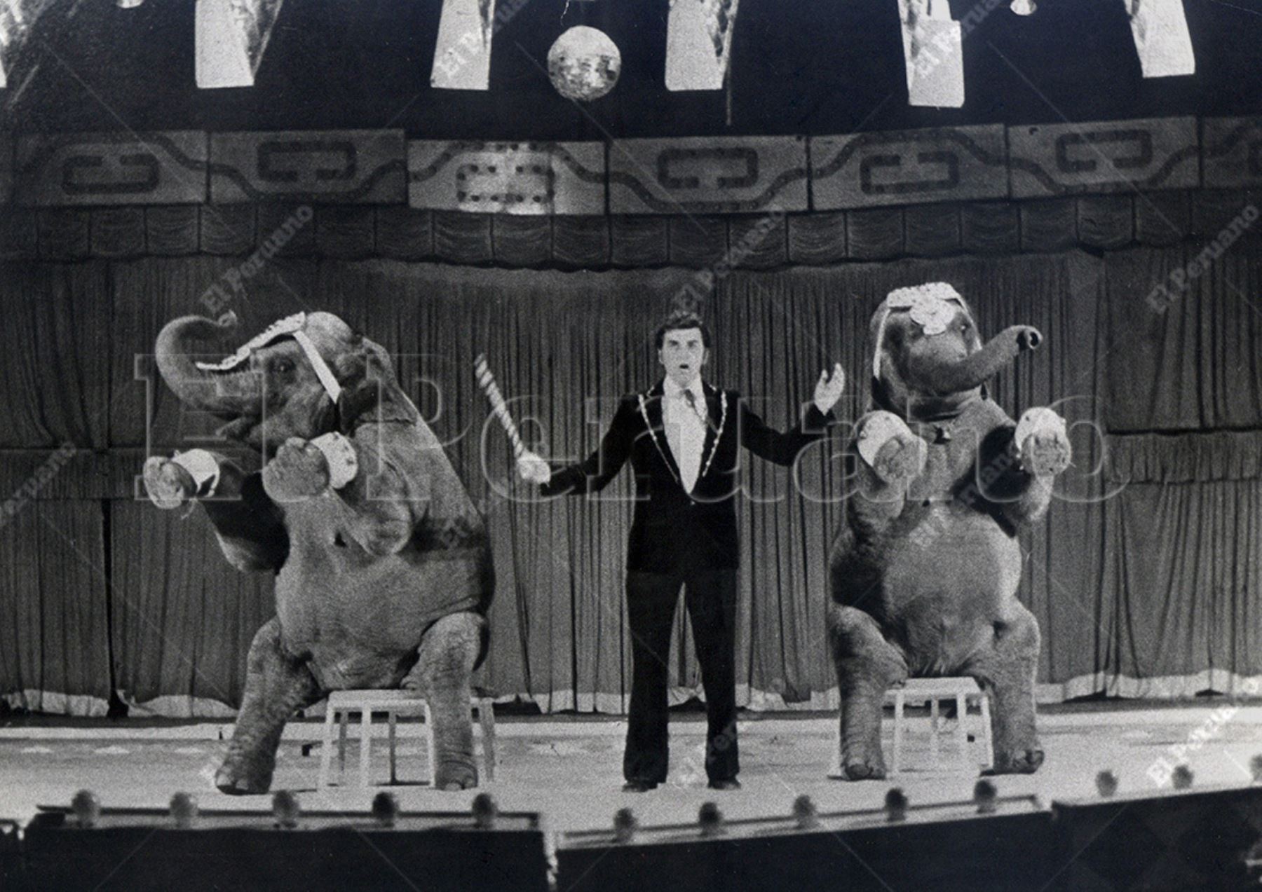 ¿Qué circos marcaron las Fiestas Patrias de los peruanos y desde cuándo ...