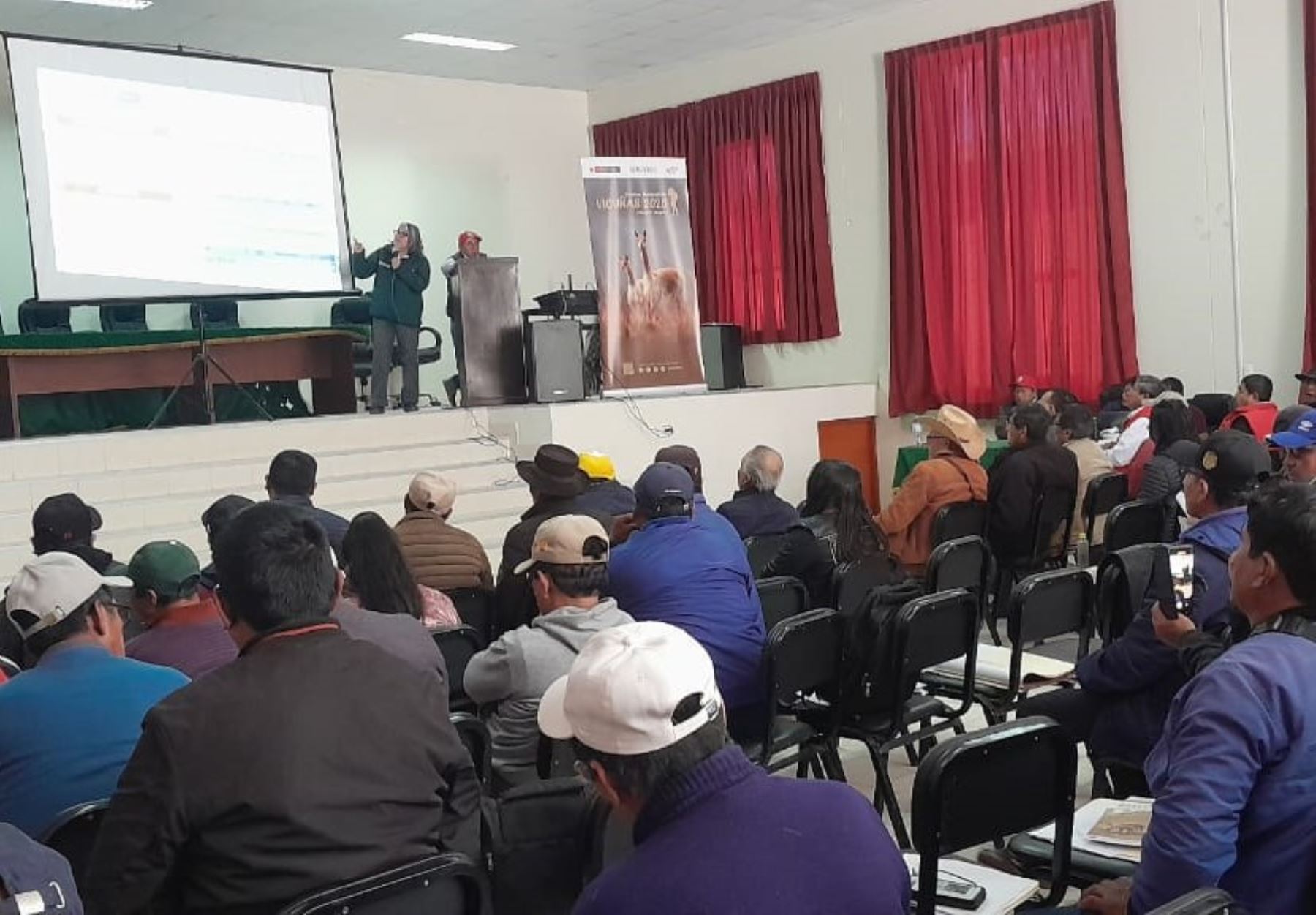 Ayacucho: fortalecen capacidades en manejo sostenible de vicuña en ...